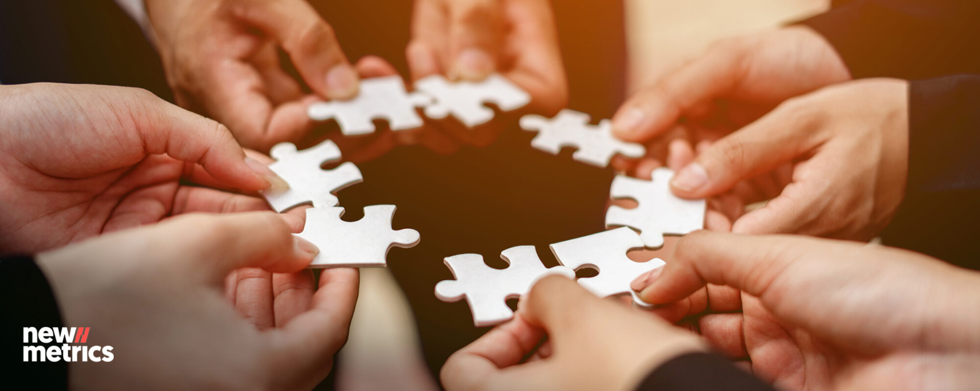 Redefining Performance Appraisals: Integrating Intelligence Theories ...